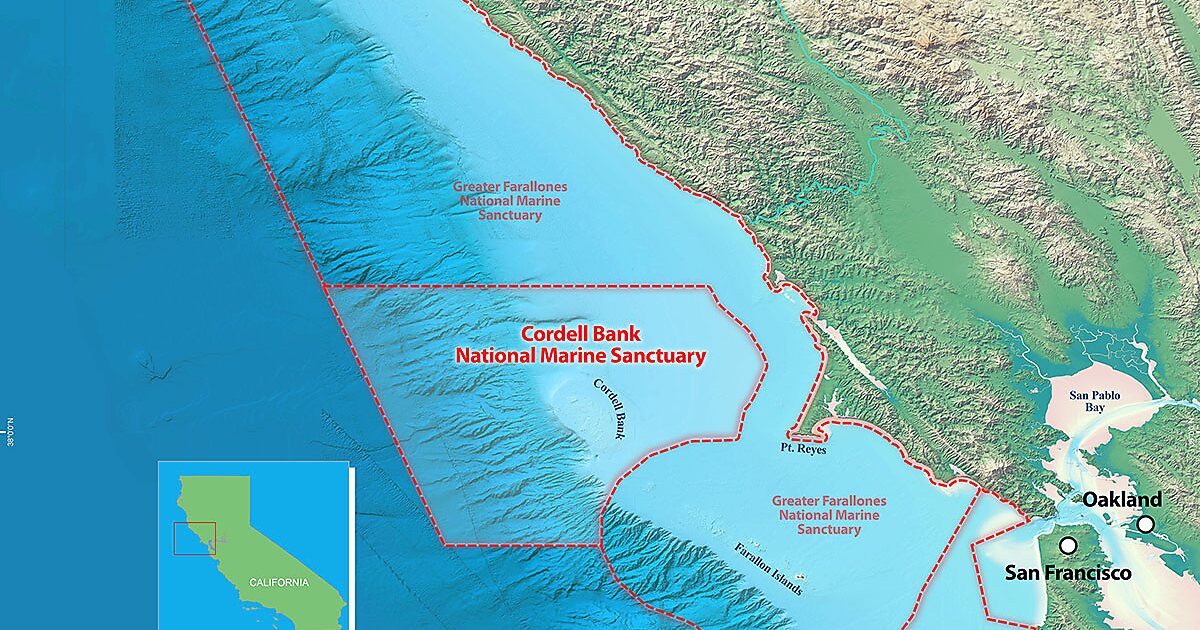 Cordell Bank National Marine Sanctuary in Nordamerika | Sygic Travel Cordell Bank National Marine Sanctuary in Nordamerika | Sygic Travel