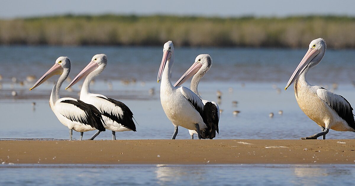 Lake Yamma Yamma in Queensland, Australia | Tripomatic