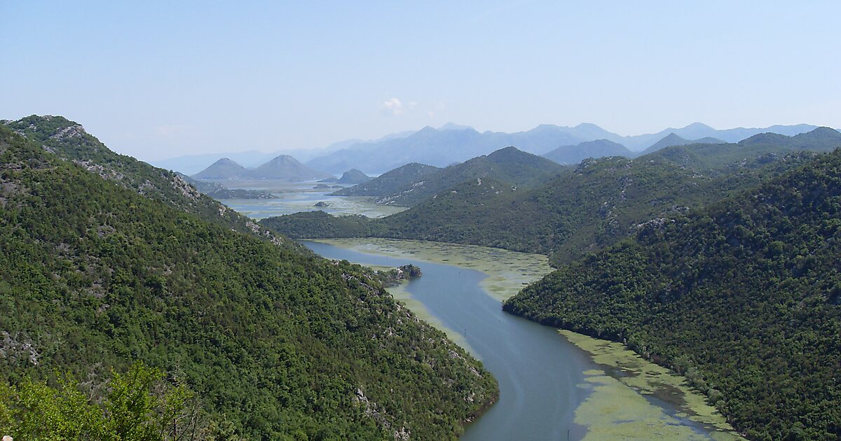 Lago Shkodër en Montenegro | Tripomatic