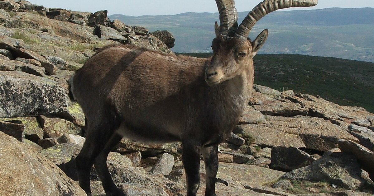 Parque Nacional dos Pirenéus em | Tripomatic