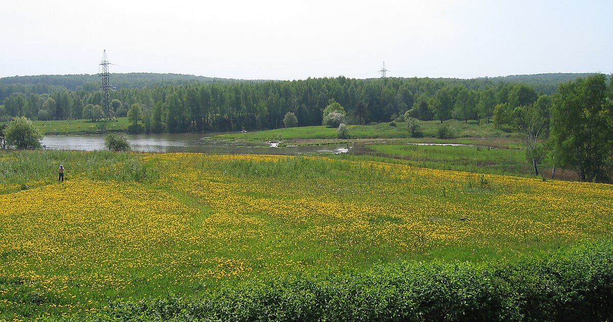 Bitsa Park in Moscow, Russia | Tripomatic