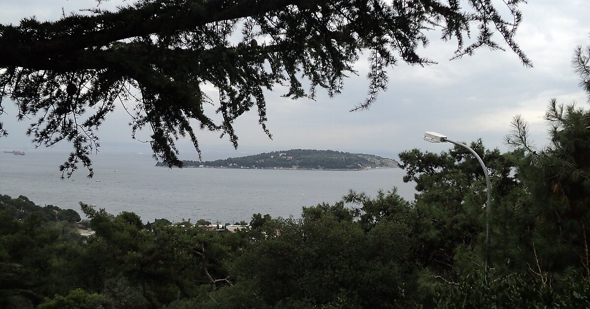 Sedef Island in Istanbul, Türkiye | Tripomatic