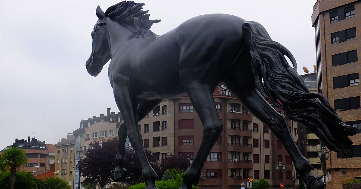 Asturcón en Oviedo, España | Tripomatic