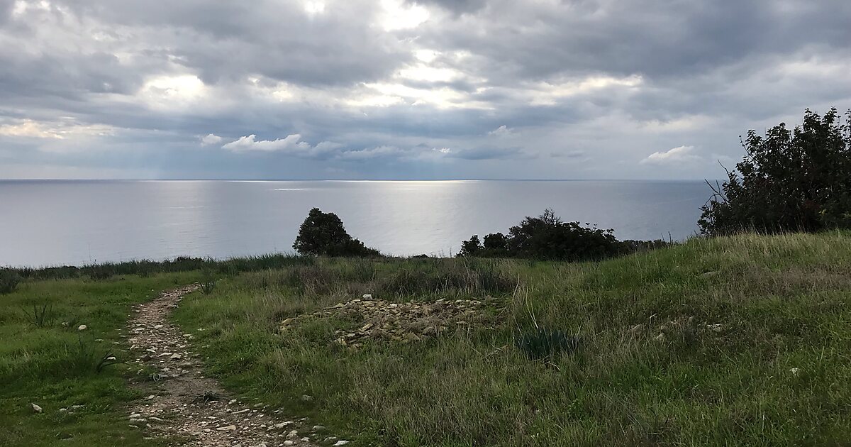 Amathus in Cyprus | Tripomatic