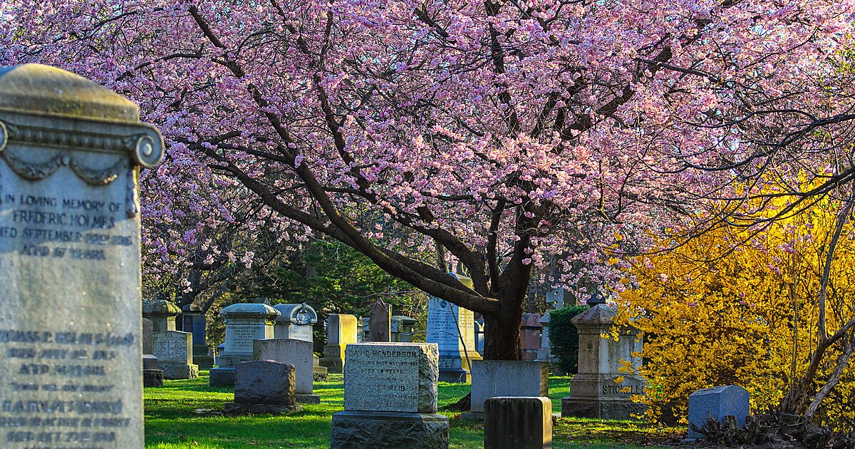 Mount Pleasant Cemetery in Toronto, Canada | Tripomatic