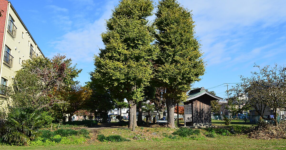 Sagami Kokubunji Temple Ruins in Nakashinden 1-chome, Ebina, Kanagawa ...