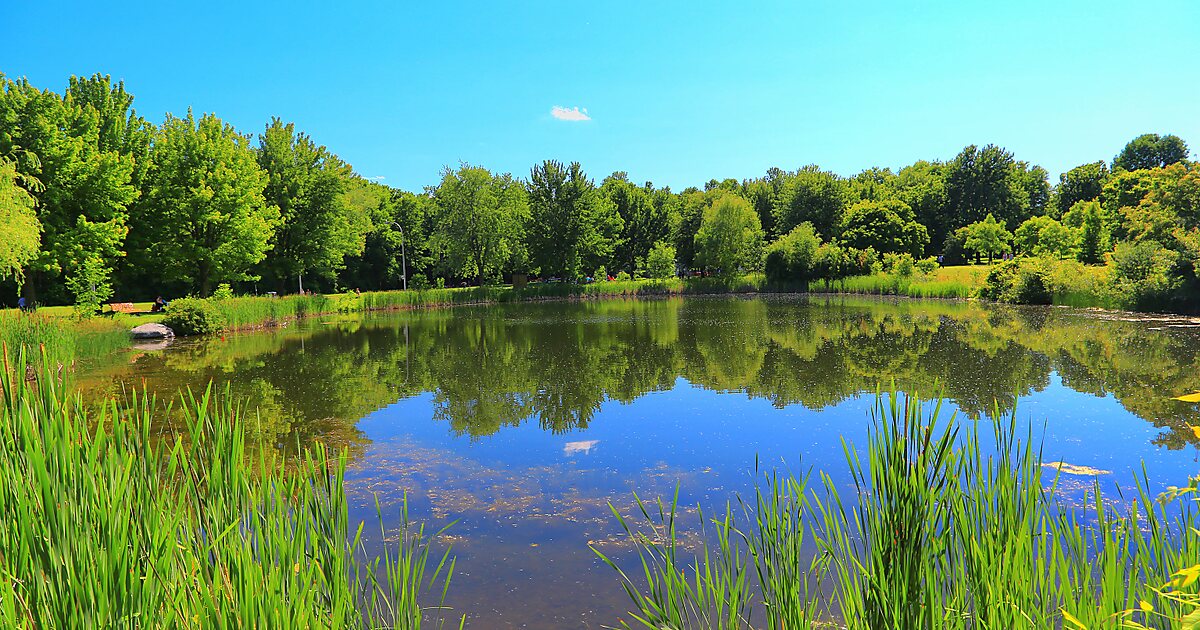 Angrignon Park in Montreal | Tripomatic