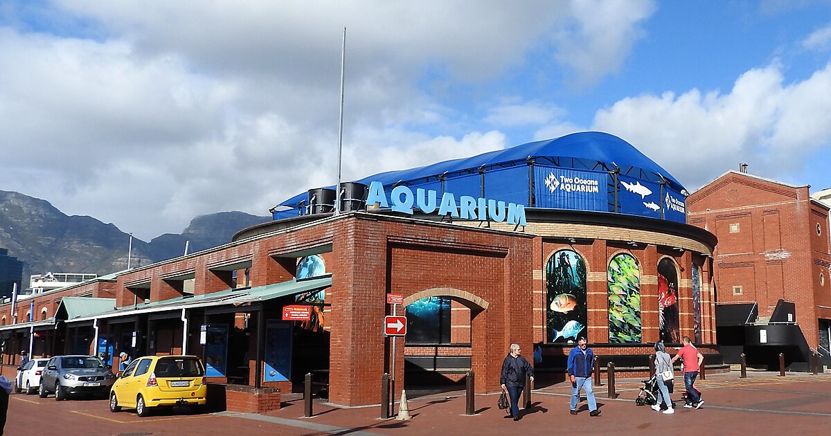 Two Oceans Aquarium in Foreshore, Cape Town, South Africa | Tripomatic