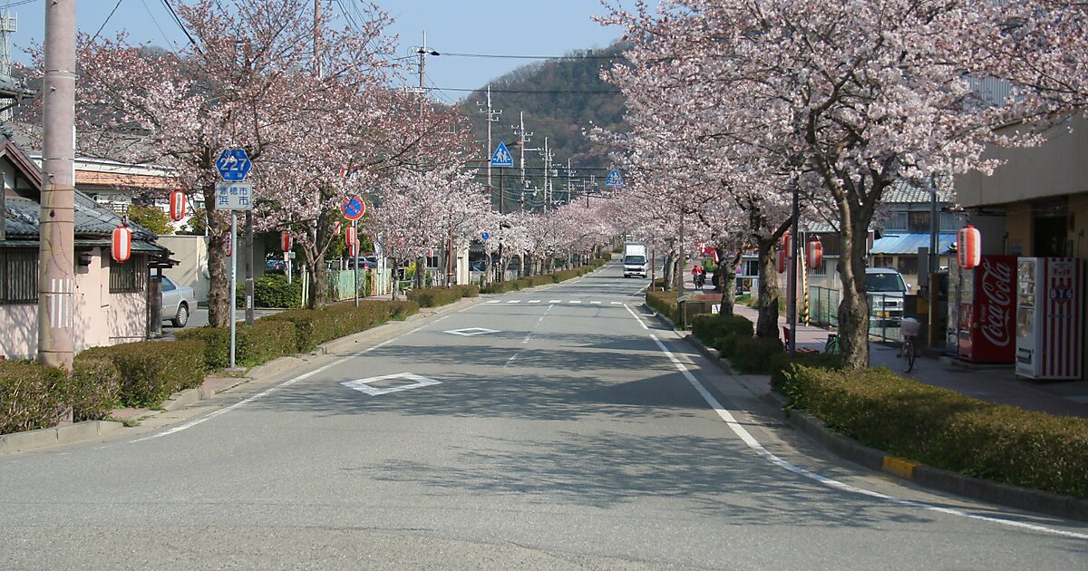 Sakoshi in Akō, Hyōgo, Japan | Tripomatic