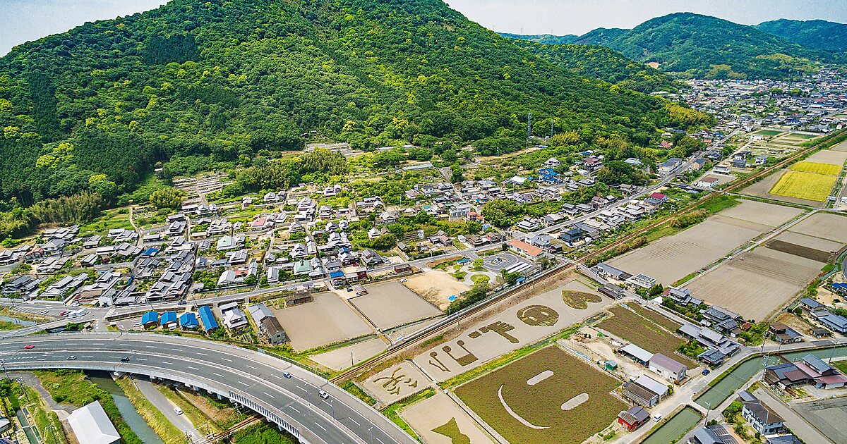 Tsuneyama in Tamano, Japan | Tripomatic