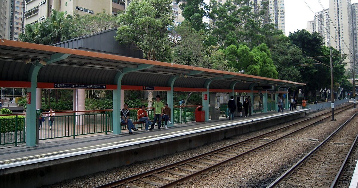 Ming Kum in Tuen Mun, China | Tripomatic