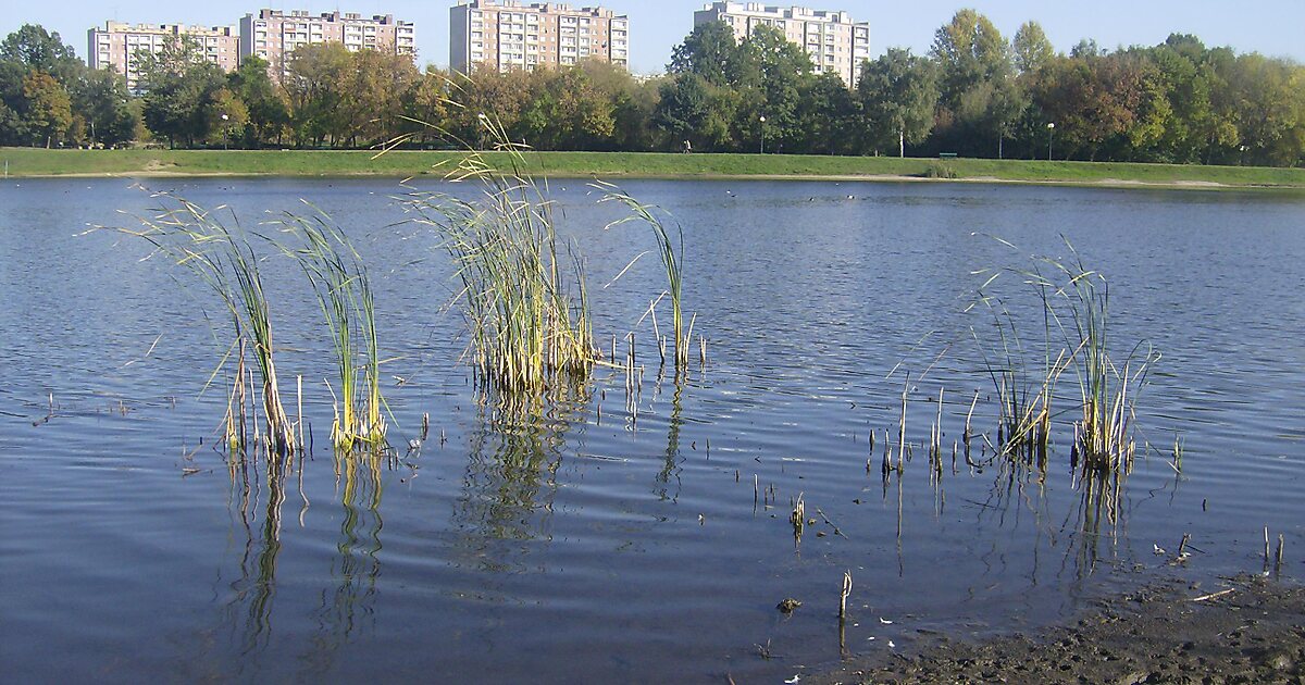 Zalew Borki w Halinów, Radom, Polska | Tripomatic
