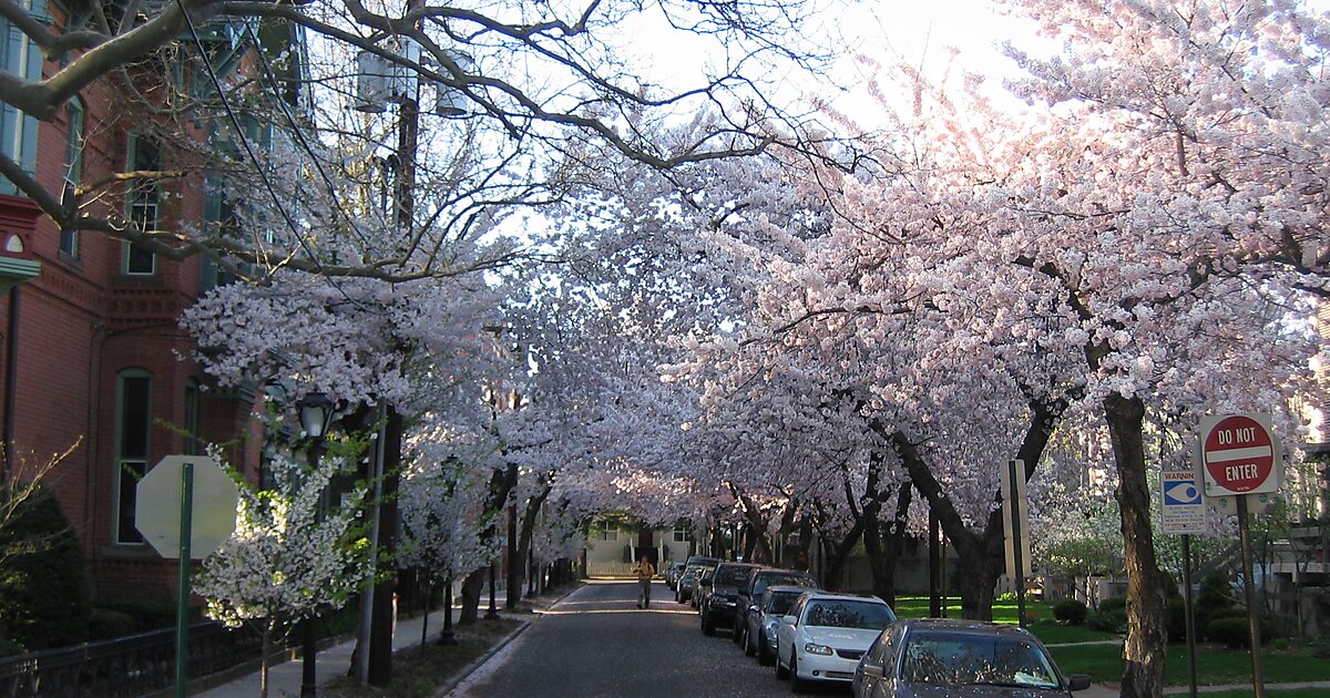 Wooster Square in New Haven, Connecticut, United States | Tripomatic