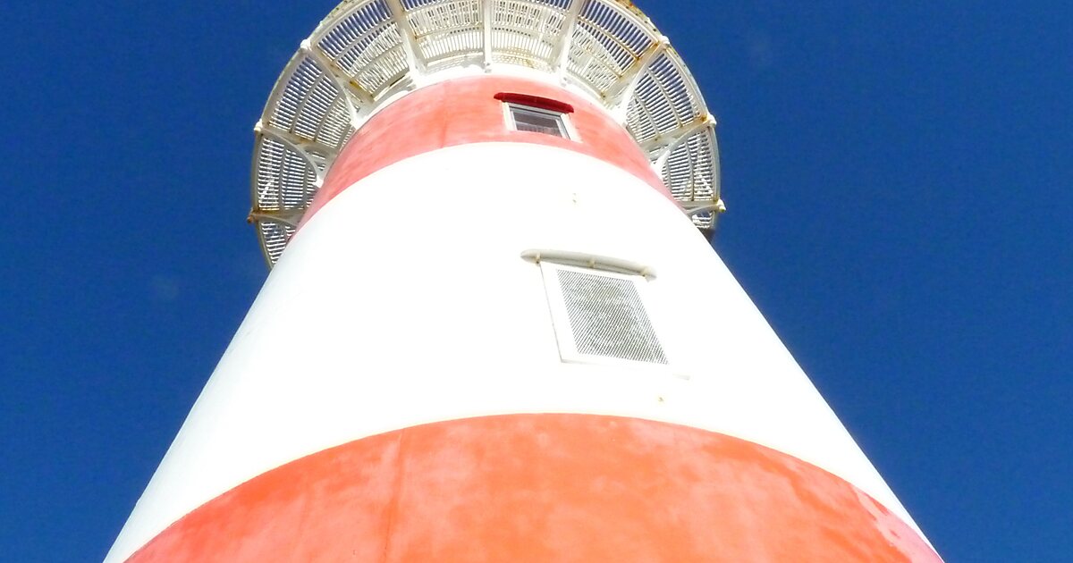 Cape Palliser Lighthouse in Wellington, New Zealand | Tripomatic