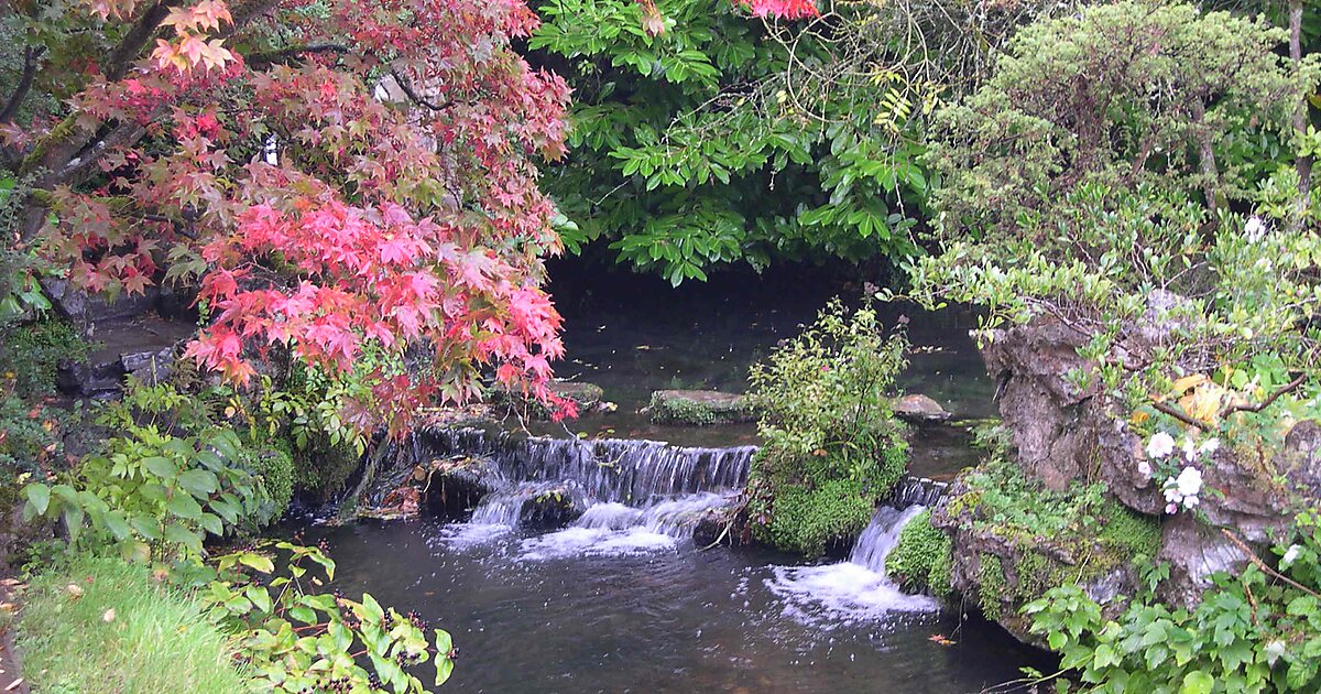 Irish National Stud and Japanese Gardens in Kildare, Ireland | Tripomatic