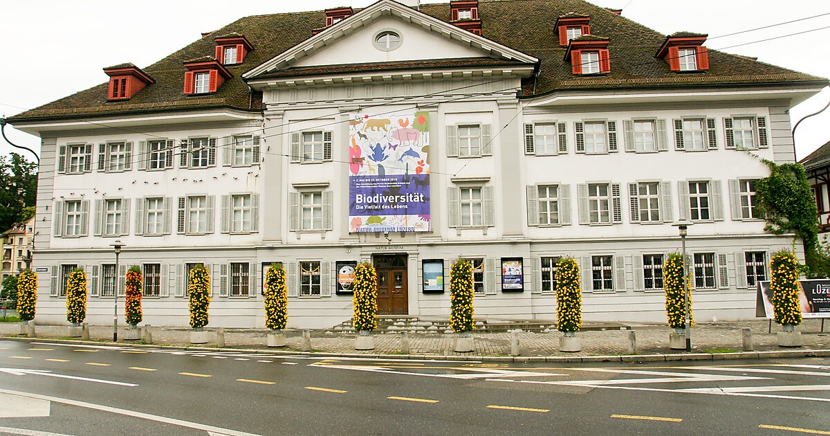Lucerne Nature Museum in Lucerne, Switzerland | Tripomatic