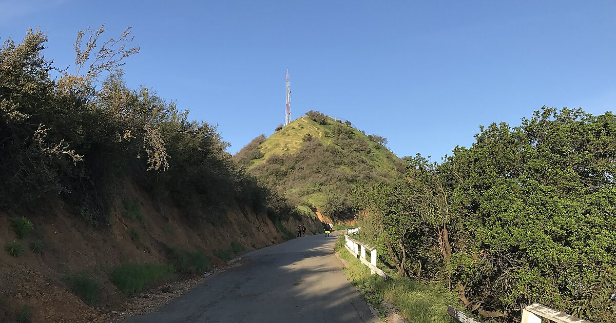 Mount Lee in Hollywood Hills, Los Angeles, United States | Tripomatic