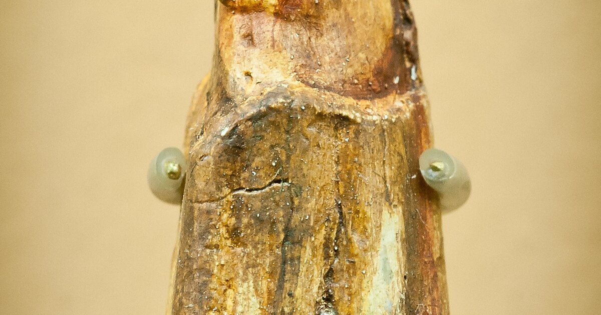 Grotte du Mas-d'Azil - Le Mas-d'Azil, France | Tripomatic