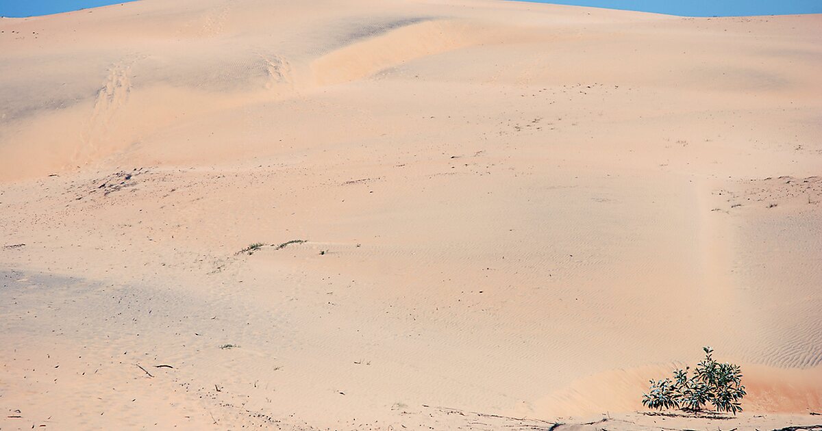 Lompoul desert in Africa | Tripomatic