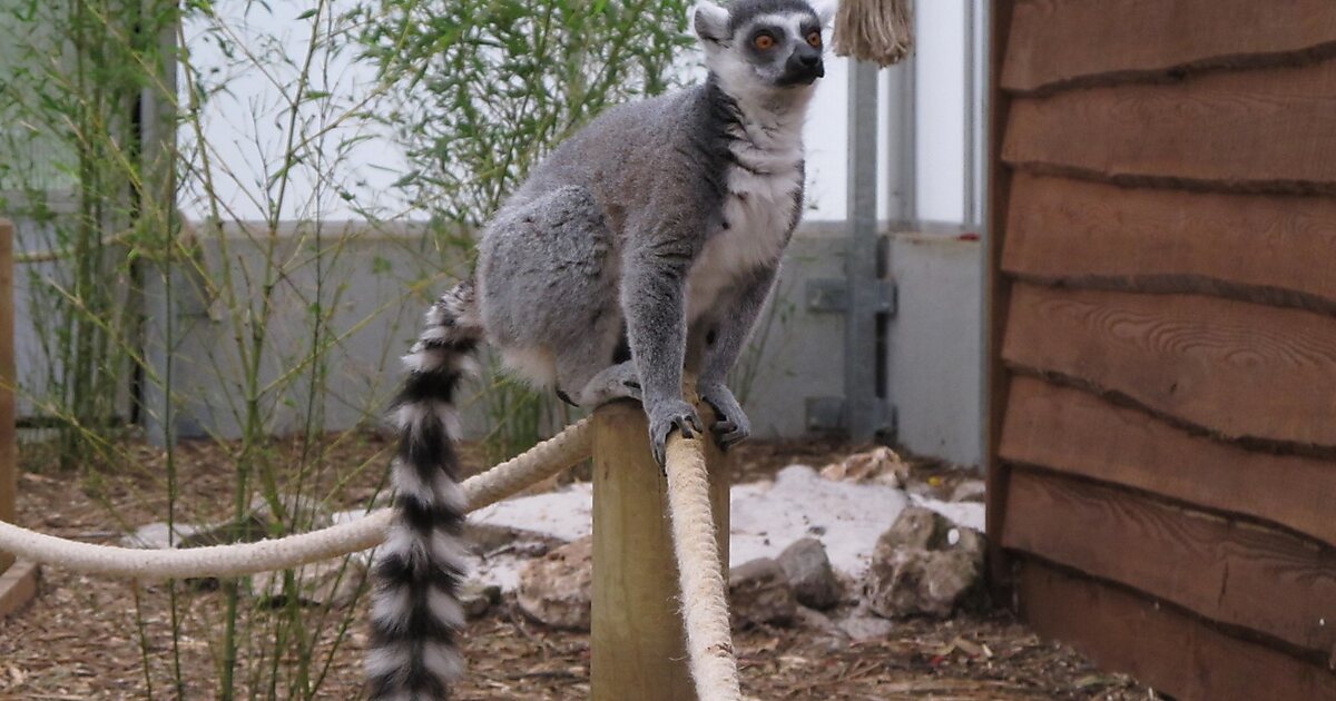 Familiepark Harry Malter in Destelbergen, België - Belgique - Belgien ...
