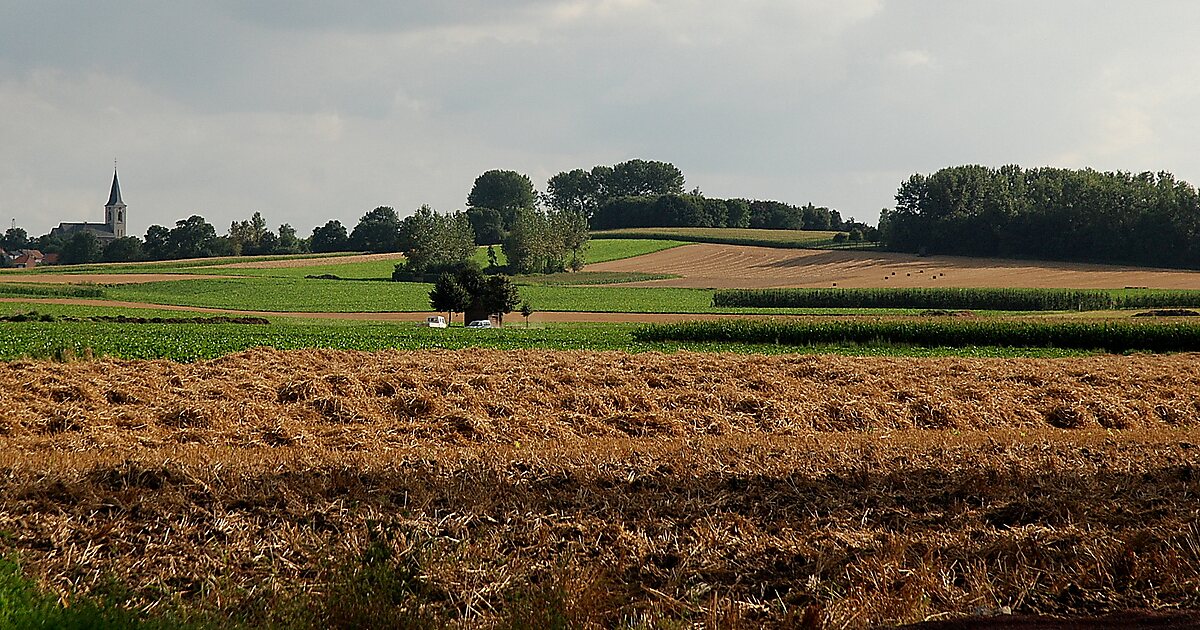 Sieberg in Riemst | Tripomatic
