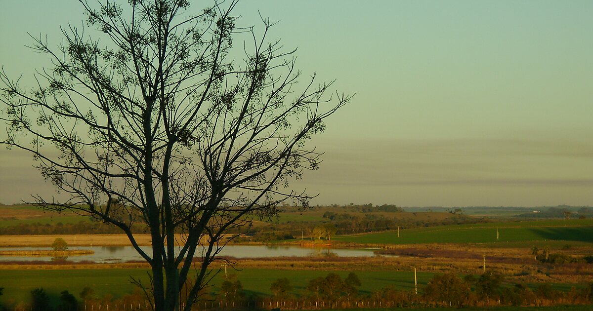 Palma, Santa Maria in Santa Maria, Brasil | Tripomatic