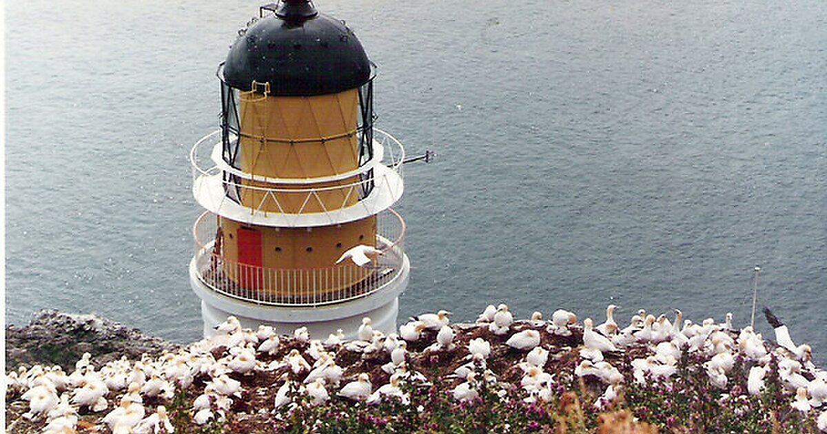Bass Rock in City of Edinburgh, UK | Tripomatic