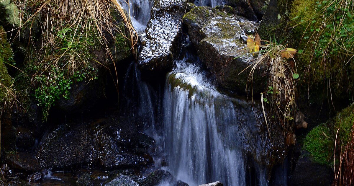 Pruth in Iași, Rumänien | Tripomatic