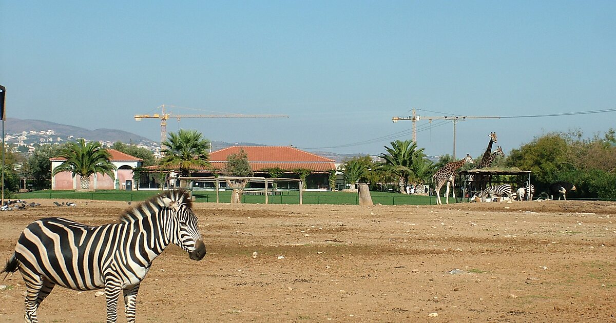 Attica Zoological Park in Greece | Tripomatic