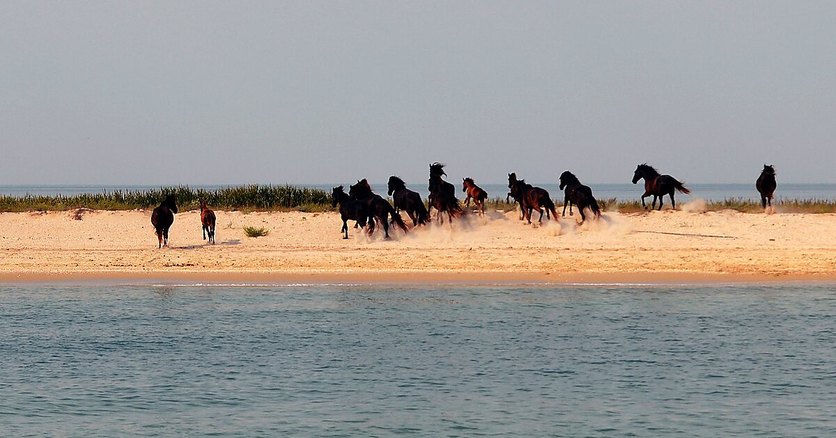 Tendra Spit in Ukraine | Tripomatic