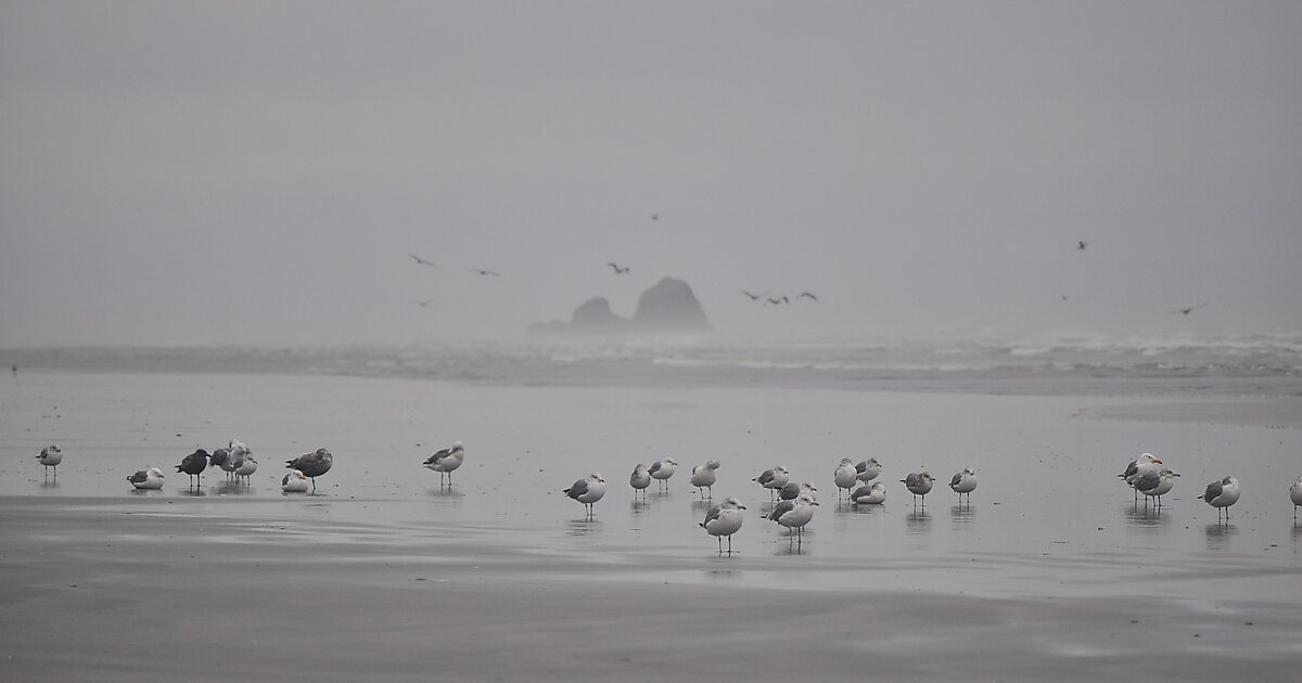 Copalis National Wildlife Refuge in United States | Tripomatic
