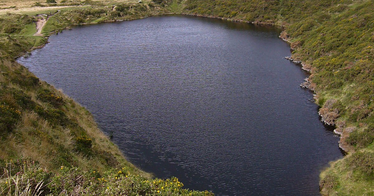 Crazywell Pool - Walkhampton, Regno Unito | Tripomatic