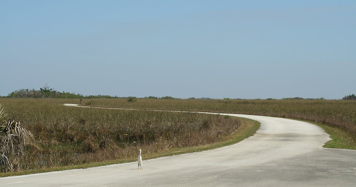 Loop Road in Fortymile Bend | Tripomatic