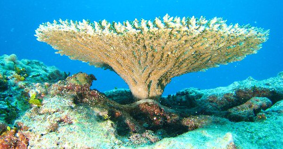 Sand Key in Monroe County, Florida | Tripomatic