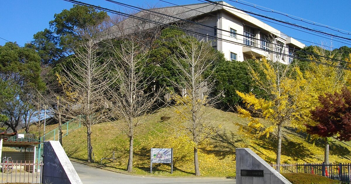 Hasama in Funabashi, Japan | Tripomatic