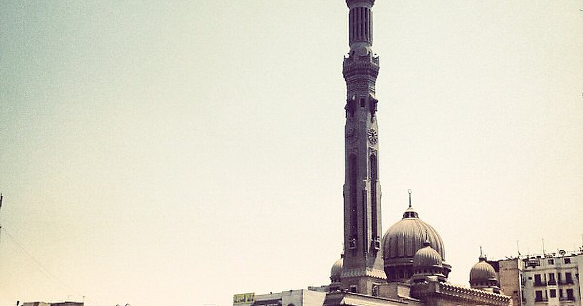 El-Fatah in El Gayara, Egypt | Tripomatic