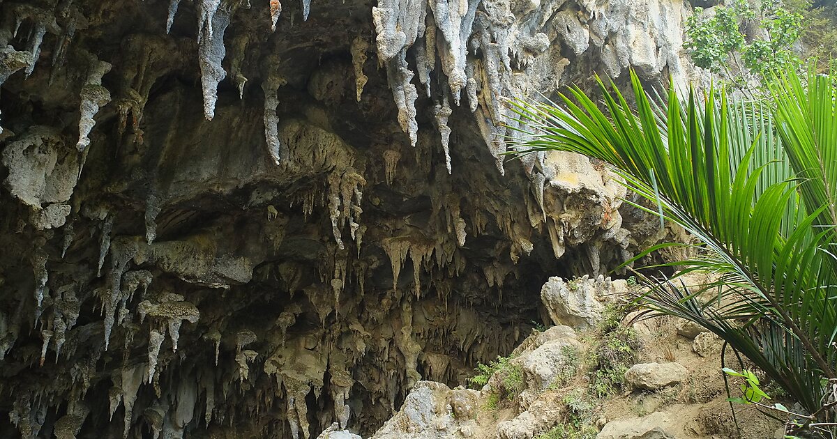 Nikau Cave & Café in Waikato, New Zealand | Tripomatic