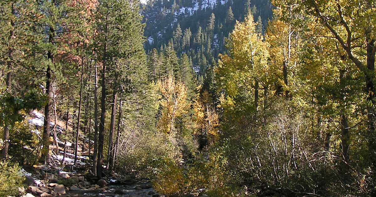 Carson River Park in Carson City, Nevada | Tripomatic