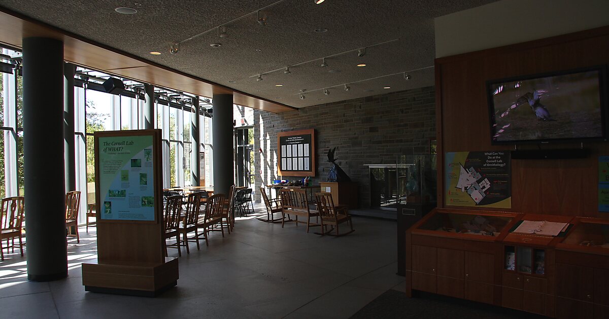 Cornell Lab of Ornithology in North America | Tripomatic
