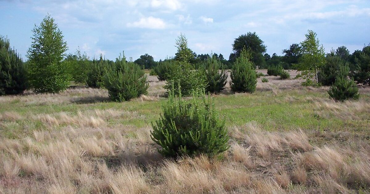 Palmiet Nature Reserve