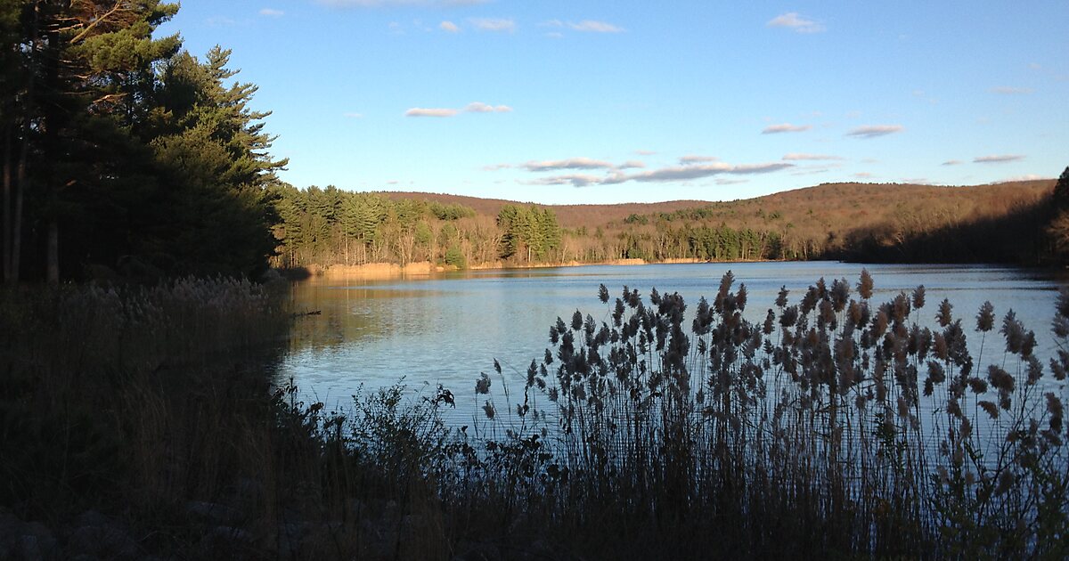 Meshomasic State Forest in United States | Tripomatic