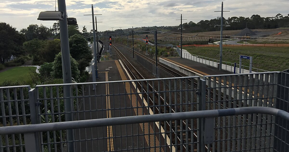 Swanson in Auckland, New Zealand | Tripomatic