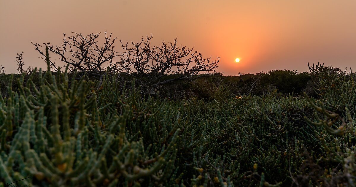 Tubli Bay in Capital Governorate, Bahrain | Tripomatic