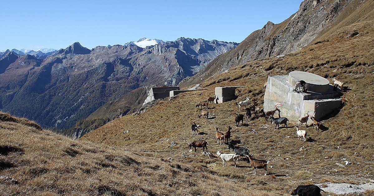 Lago del Sambuco in Lavizzara, Italy | Tripomatic