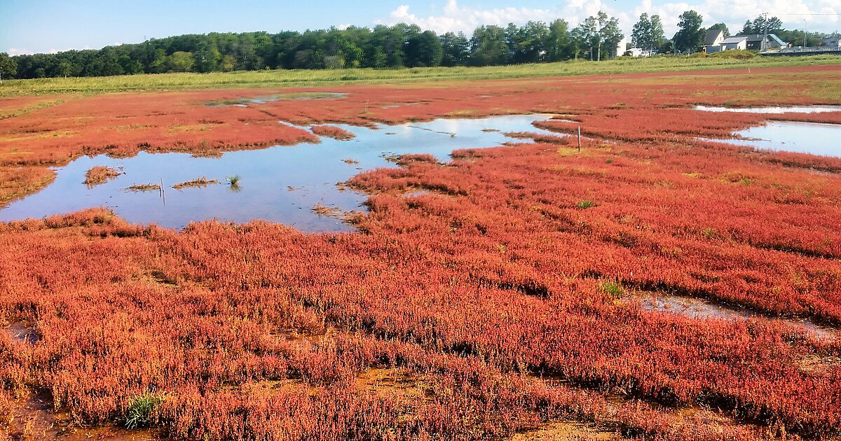 Lake Notoro in Abashiri, Japan | Tripomatic