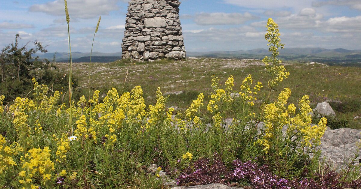 Whitbarrow Scar in North West England, UK | Tripomatic