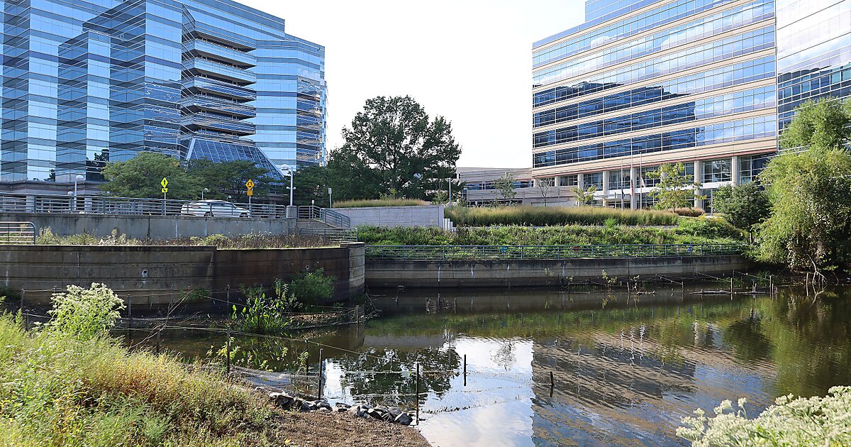 Fairfax County Government Center