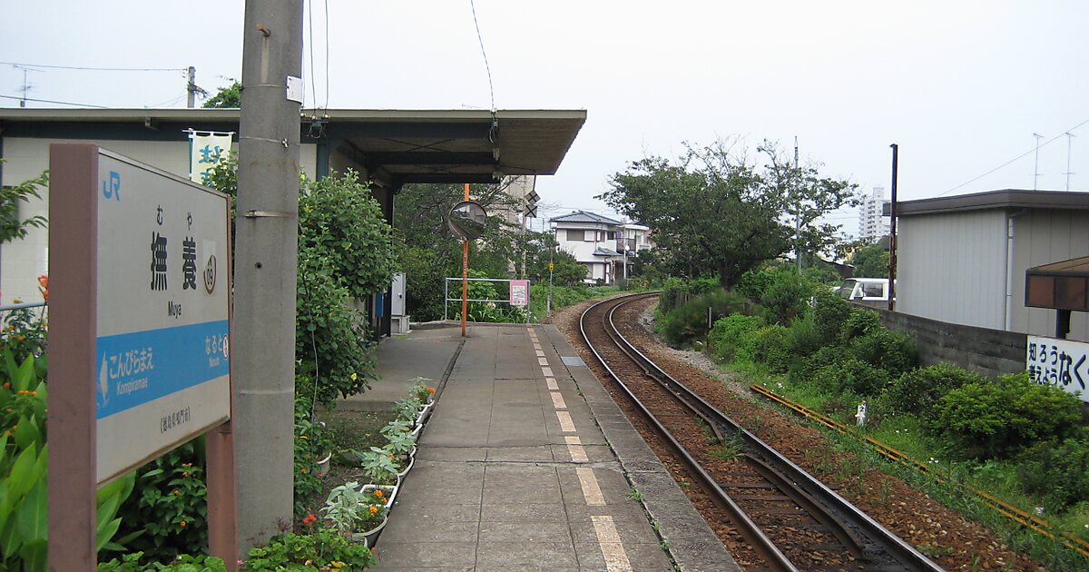 Muya in Naruto, Tokushima, Japan | Tripomatic