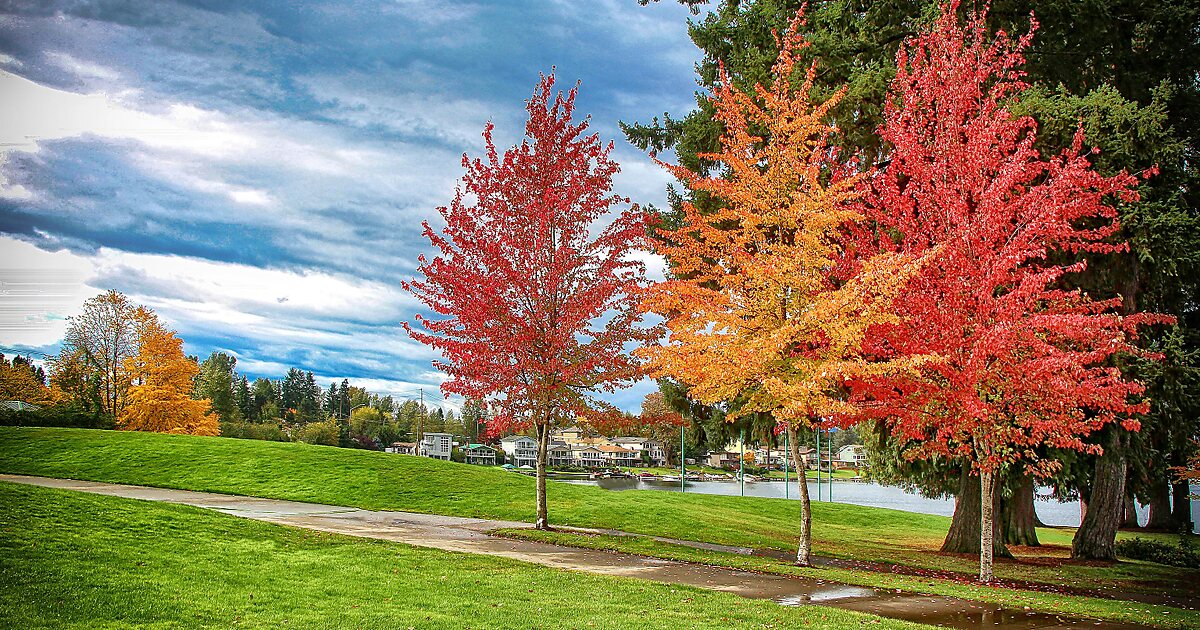 Lake Meridian in Kent | Tripomatic