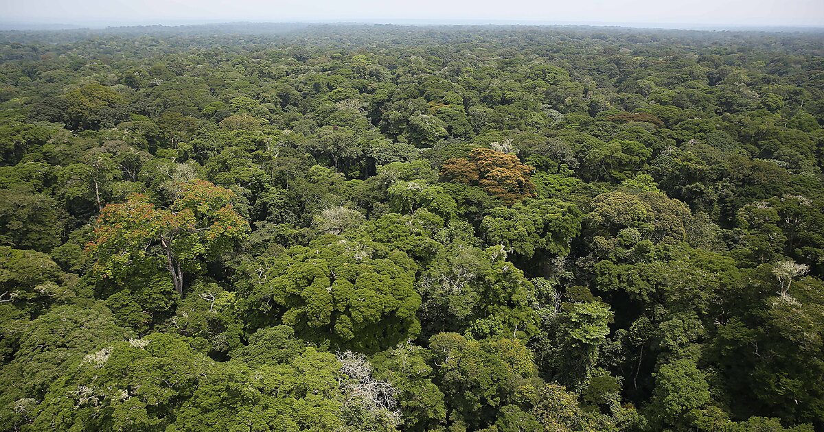 Впадина Конго - Équateur | Tripomatic